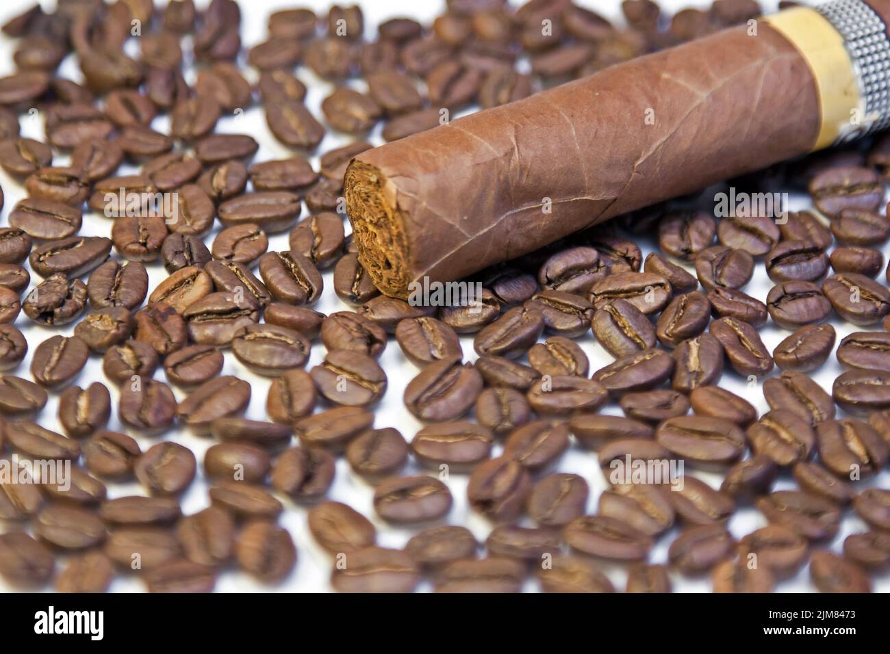 Cuban cigar on coffee beans background Stock Photo - Alamy