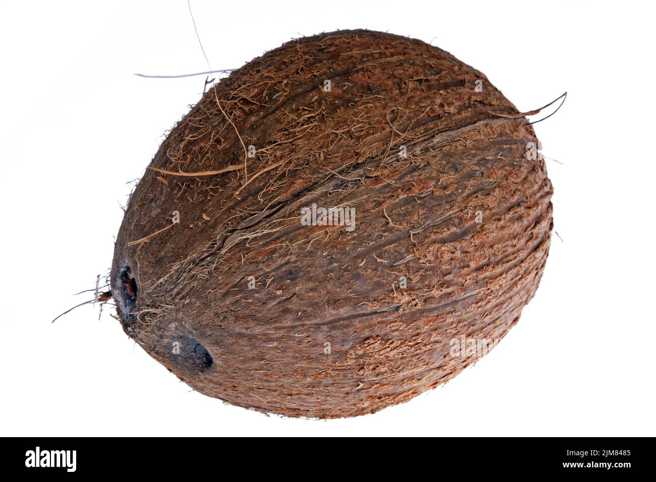 Hawaiian coconut hi-res stock photography and images - Alamy