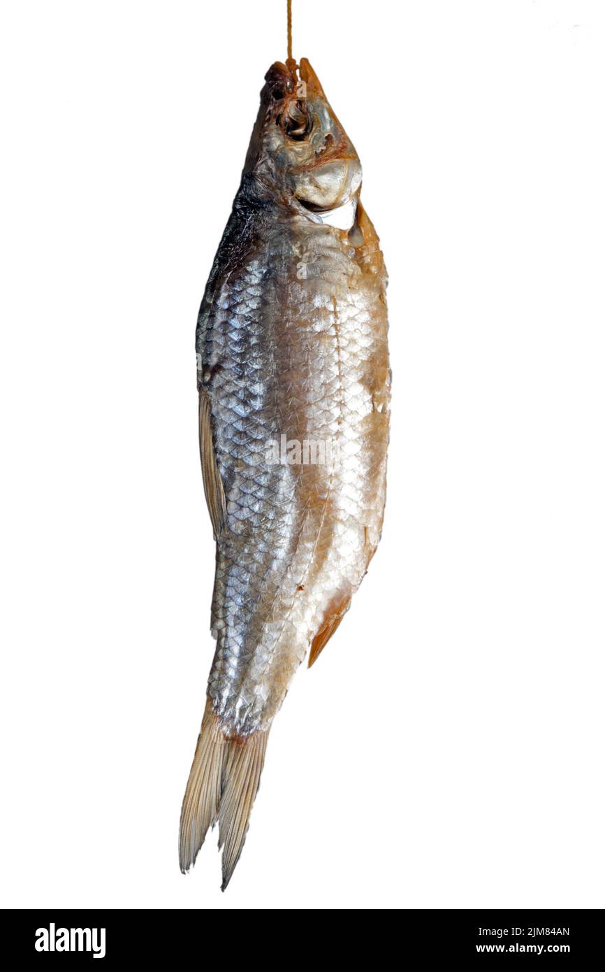 Dried salted sea fish Cut Out Stock Images & Pictures - Alamy