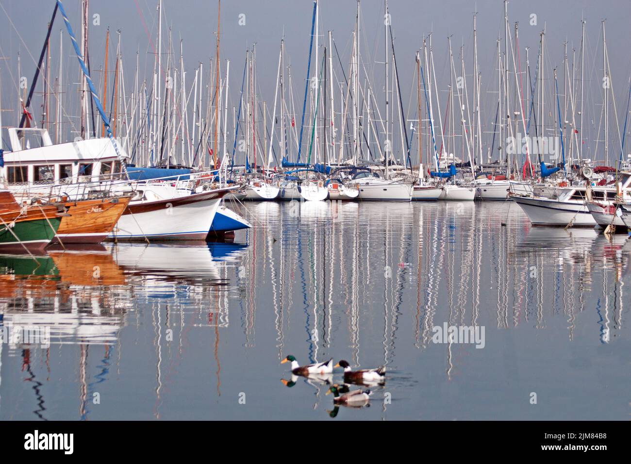 Mediterranean bird row boat hi-res stock photography and images - Alamy