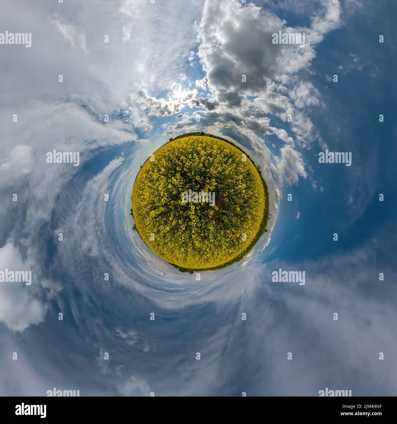 Little planet with rapeseed flowers in blue sky with clouds in ...