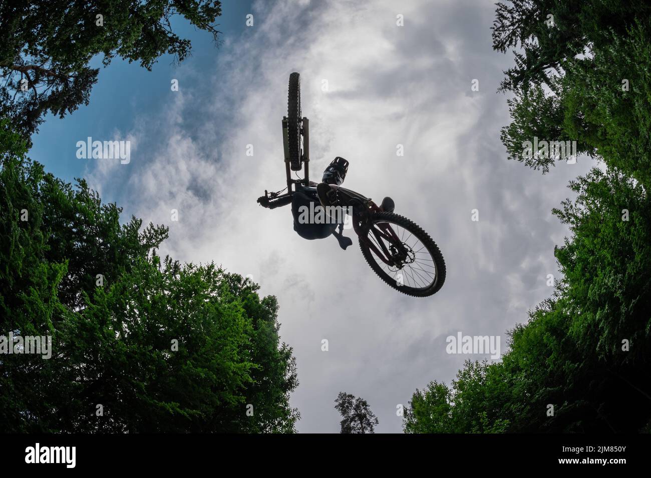 Silhouette of a mountain biker jumping over camera and performing tail ...