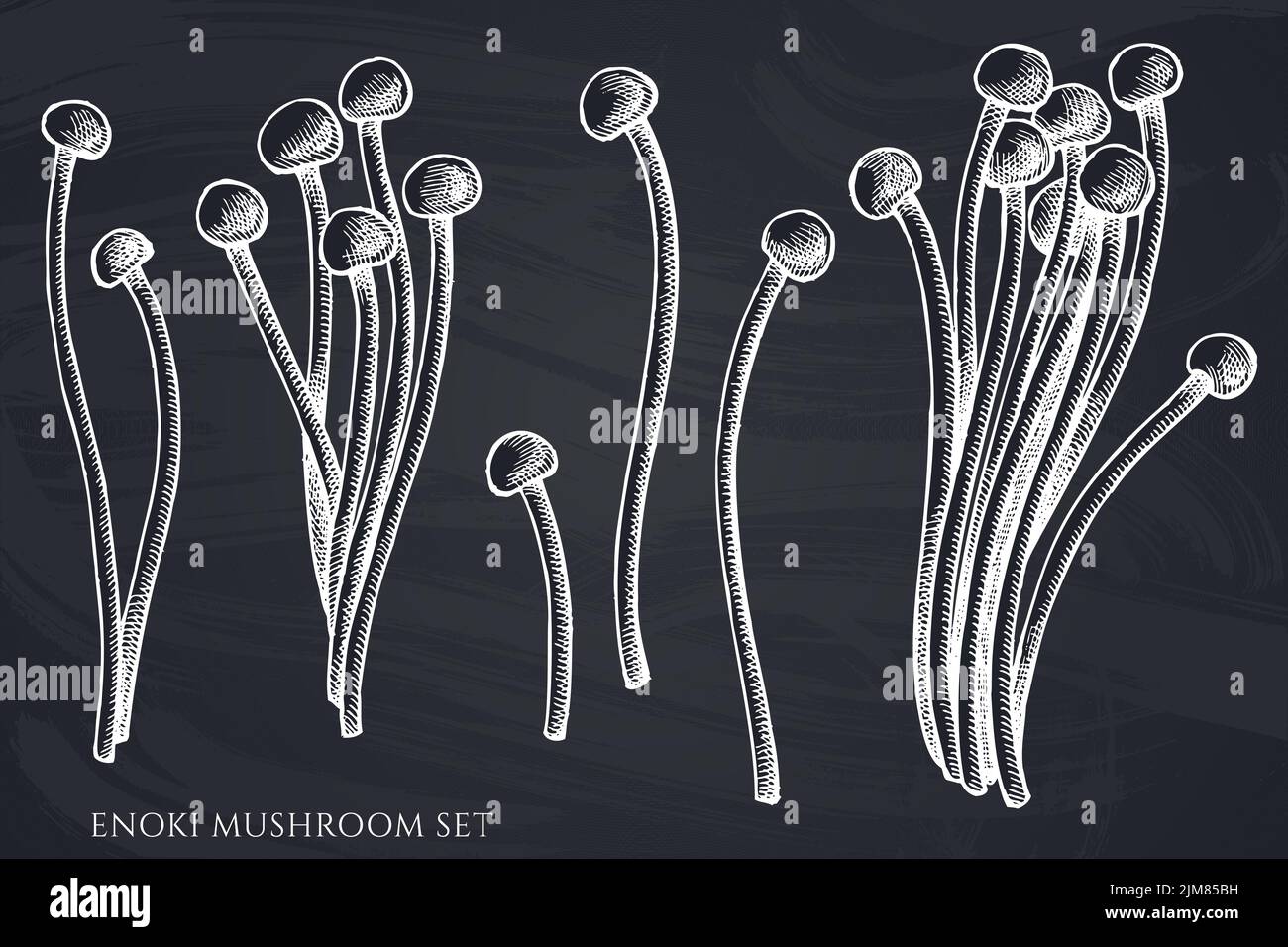 Vector set of hand drawn chalk enoki Stock Vector Image & Art - Alamy