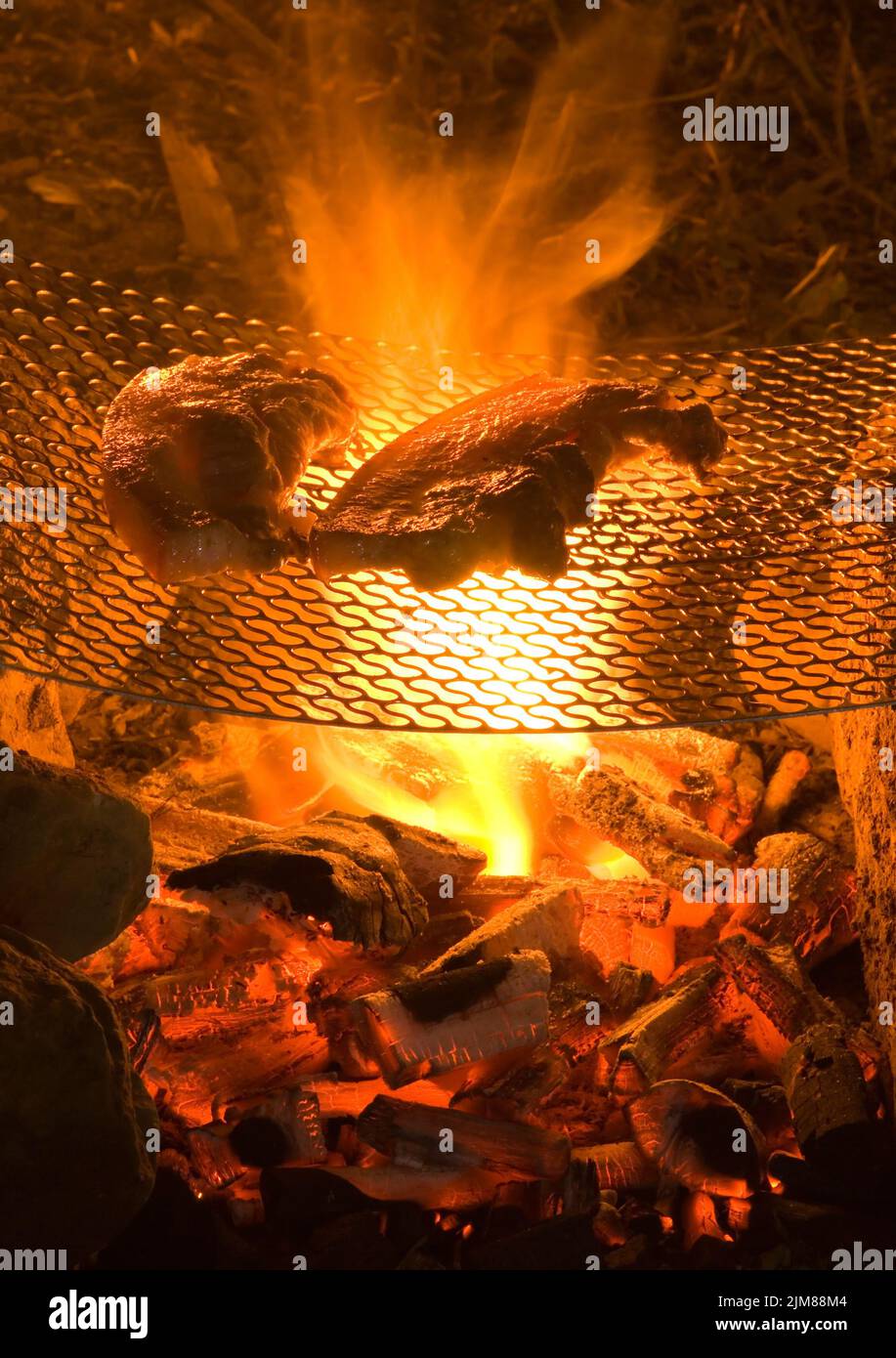 Barbecue on the campfire in wild Stock Photo - Alamy
