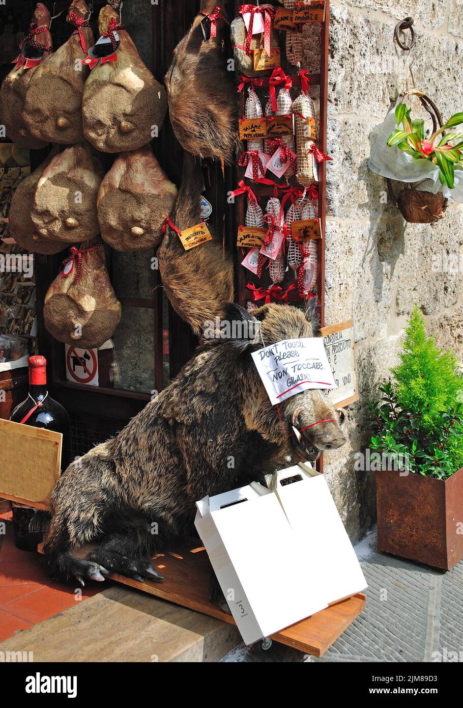 Boar ham hi-res stock photography and images - Alamy