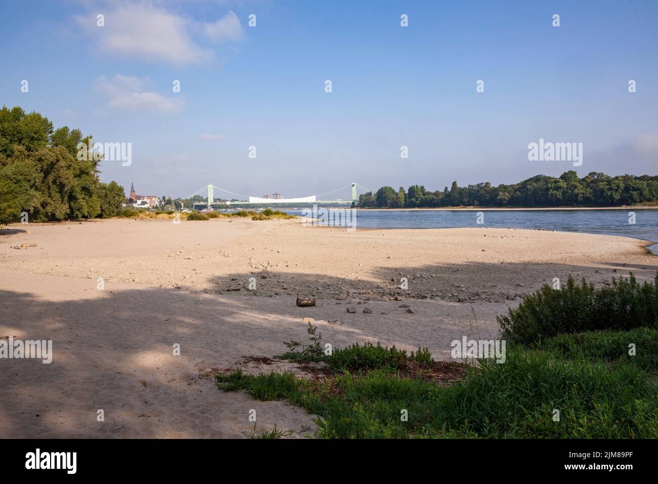 low water level of the river Rhine, July 30, 2022, banks of the river ...