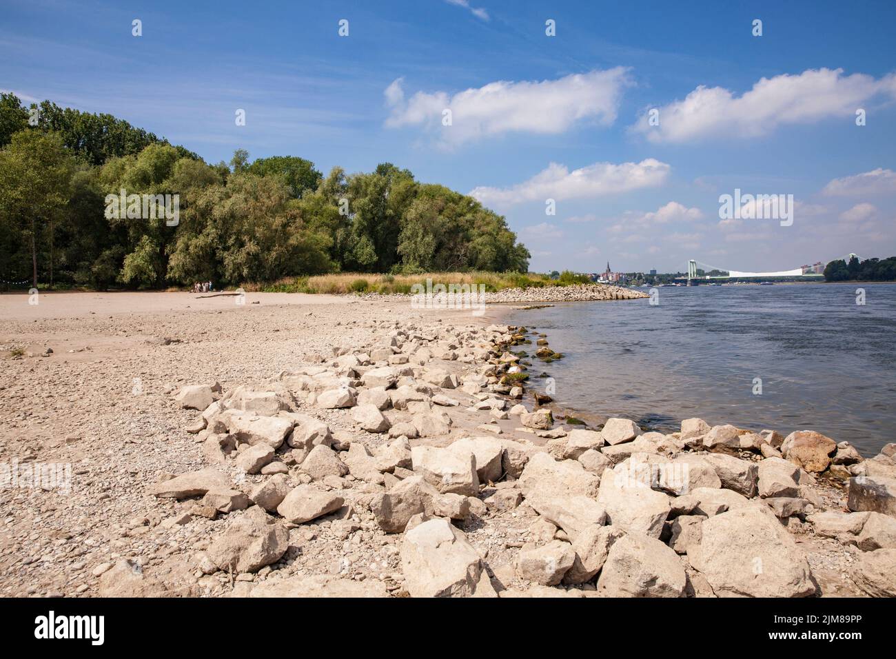 low water level of the river Rhine, July 30, 2022, banks of the river ...