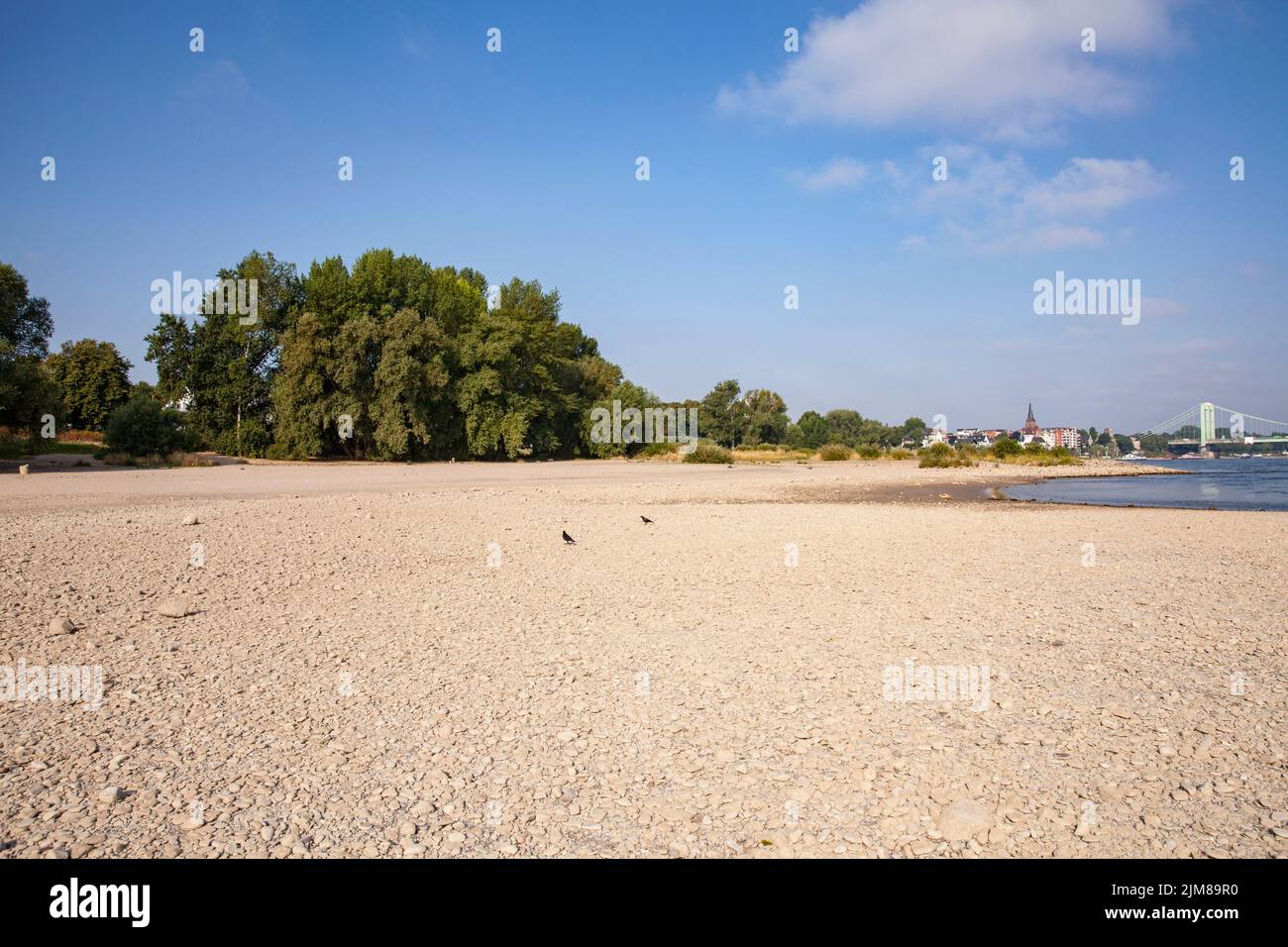 low water level of the river Rhine, July 30, 2022, banks of the river ...