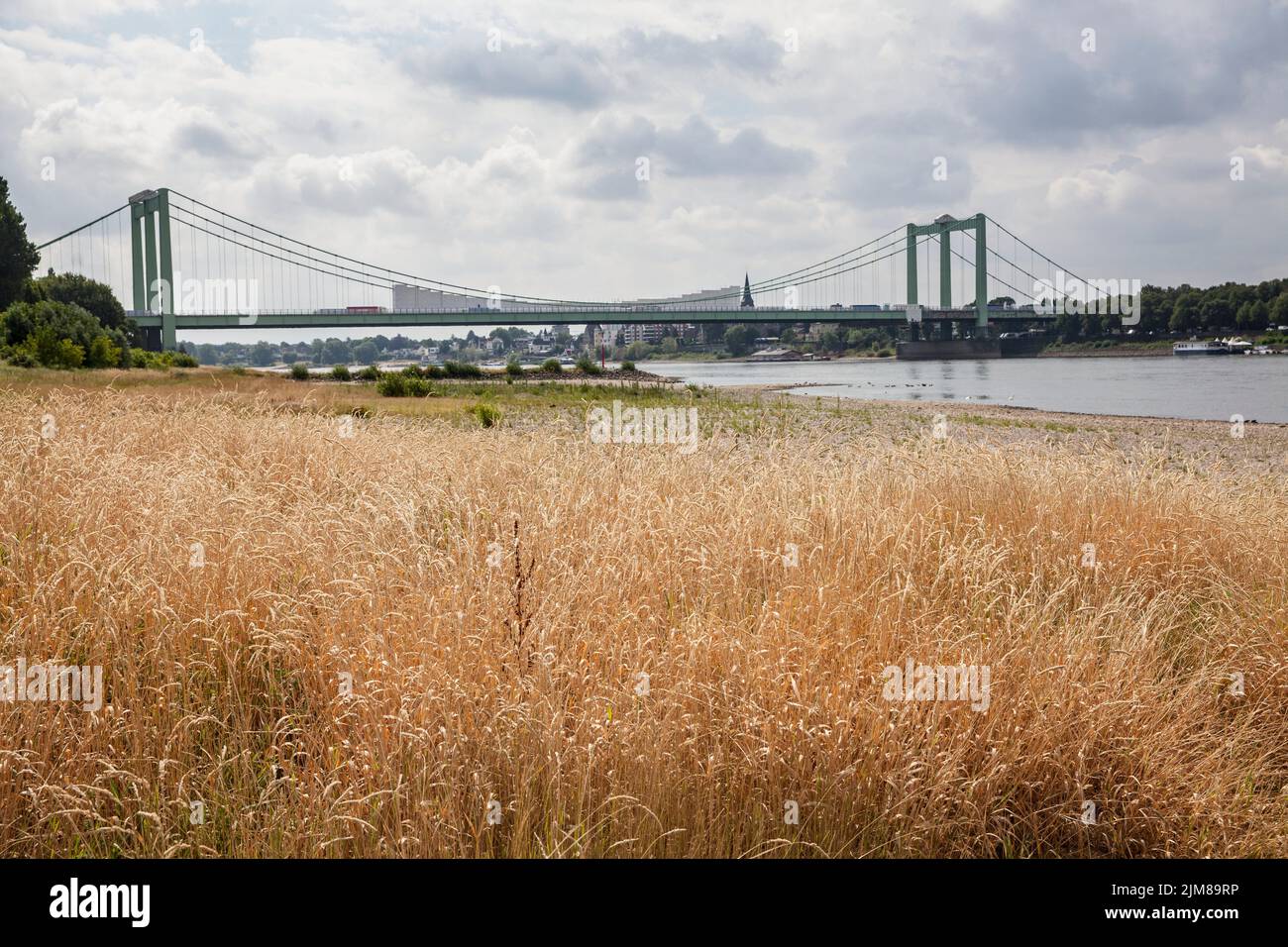the Rodenkirchener bridge over the river Rhine, bridge of the Autobahn ...