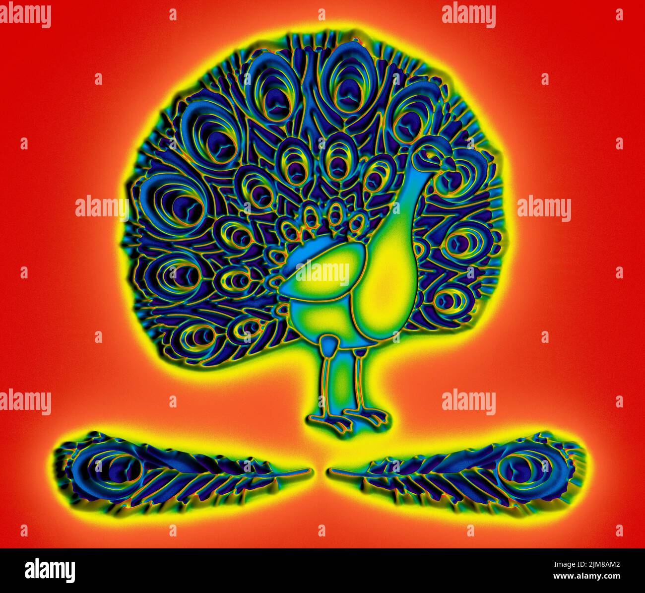 Peacock skeleton hi-res stock photography and images - Alamy