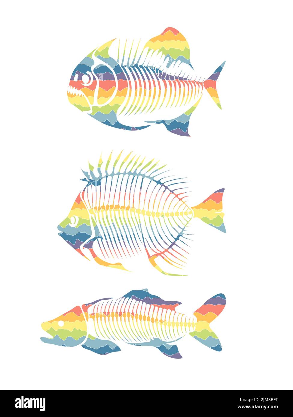 Vector set with rainbow fish skeleton isolated on a white background ...