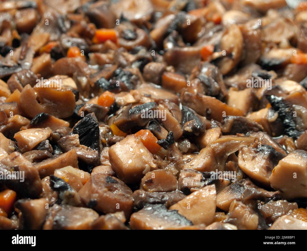 Food mushroom hi-res stock photography and images - Alamy