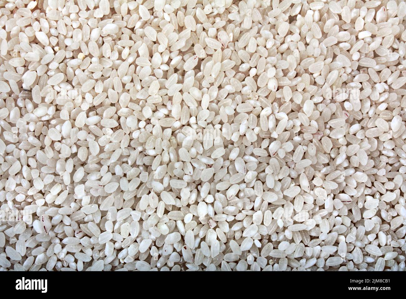 Food gruel grain hi-res stock photography and images - Alamy