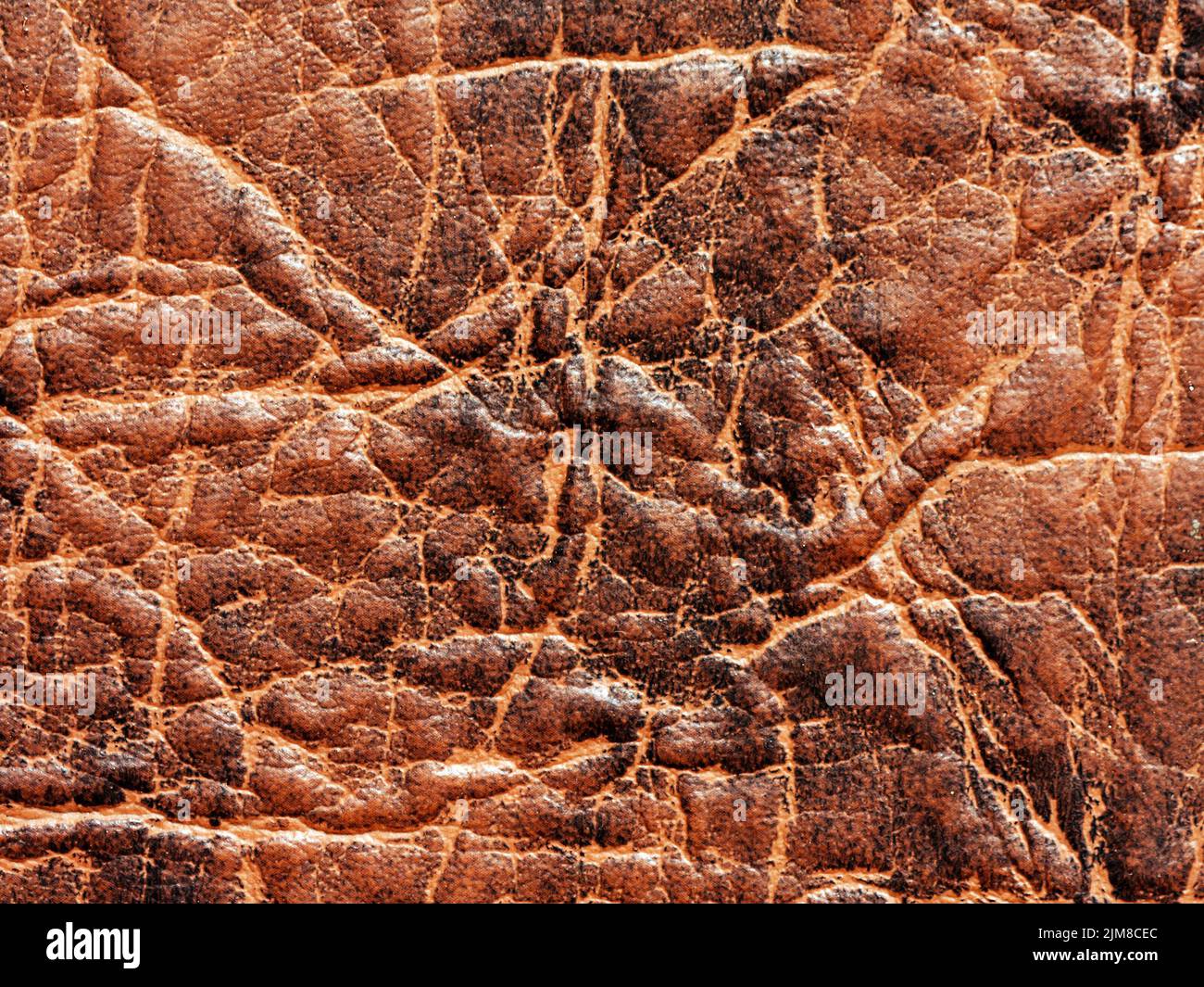 Leather pattern hi-res stock photography and images - Alamy