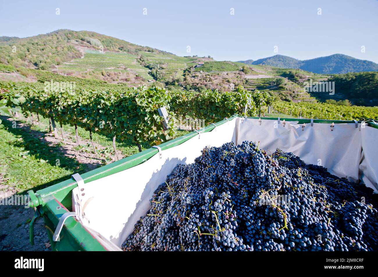 Carrier tractor hi-res stock photography and images - Alamy