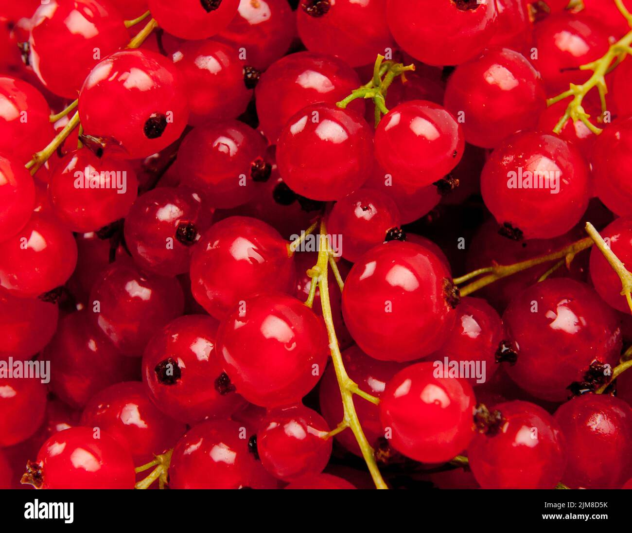 Red acid berry hi-res stock photography and images - Alamy