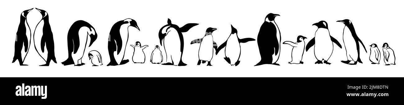 Set of penguins. Vector illustration Stock Vector Image & Art - Alamy