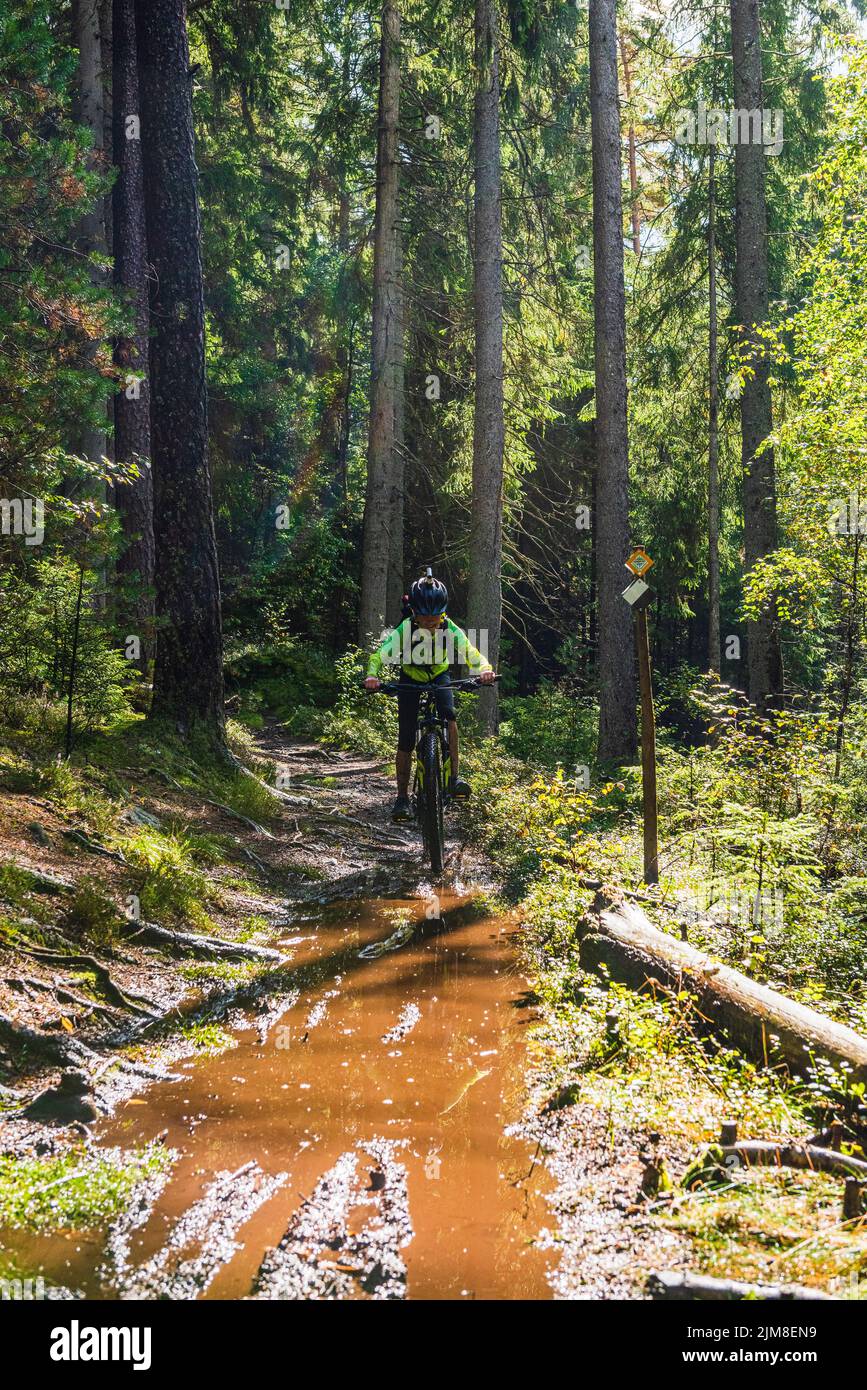 Boy cycle mountain bike on muddy forest trail Stock Photo - Alamy