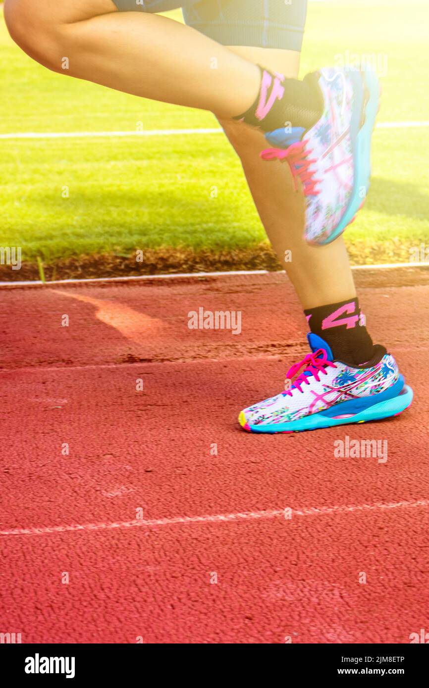 Fly training hi-res stock photography and images - Alamy