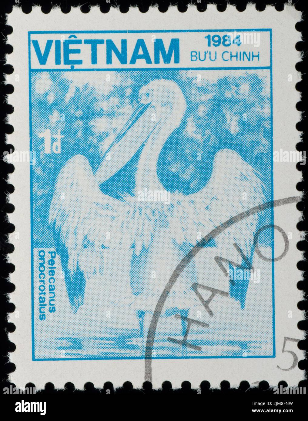 VIETNAM - CIRCA 1984: stamp - wild animal pelican bird Stock Photo - Alamy