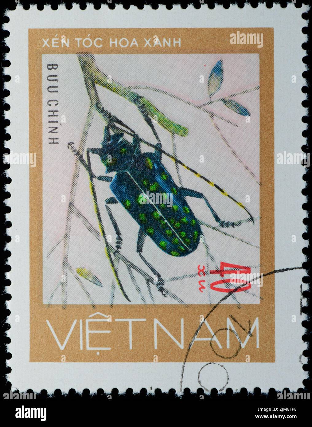 VIETNAM - CIRCA 1980s: stamp - animal insect long horn beetle Stock ...