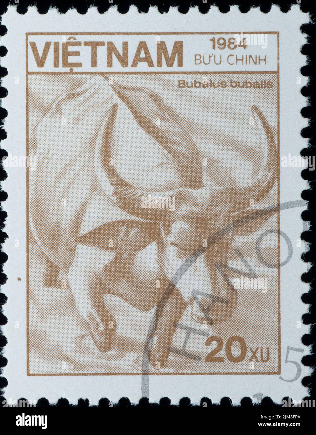 VIETNAM - CIRCA 1984: stamp - wild animal water buffalo Stock Photo - Alamy
