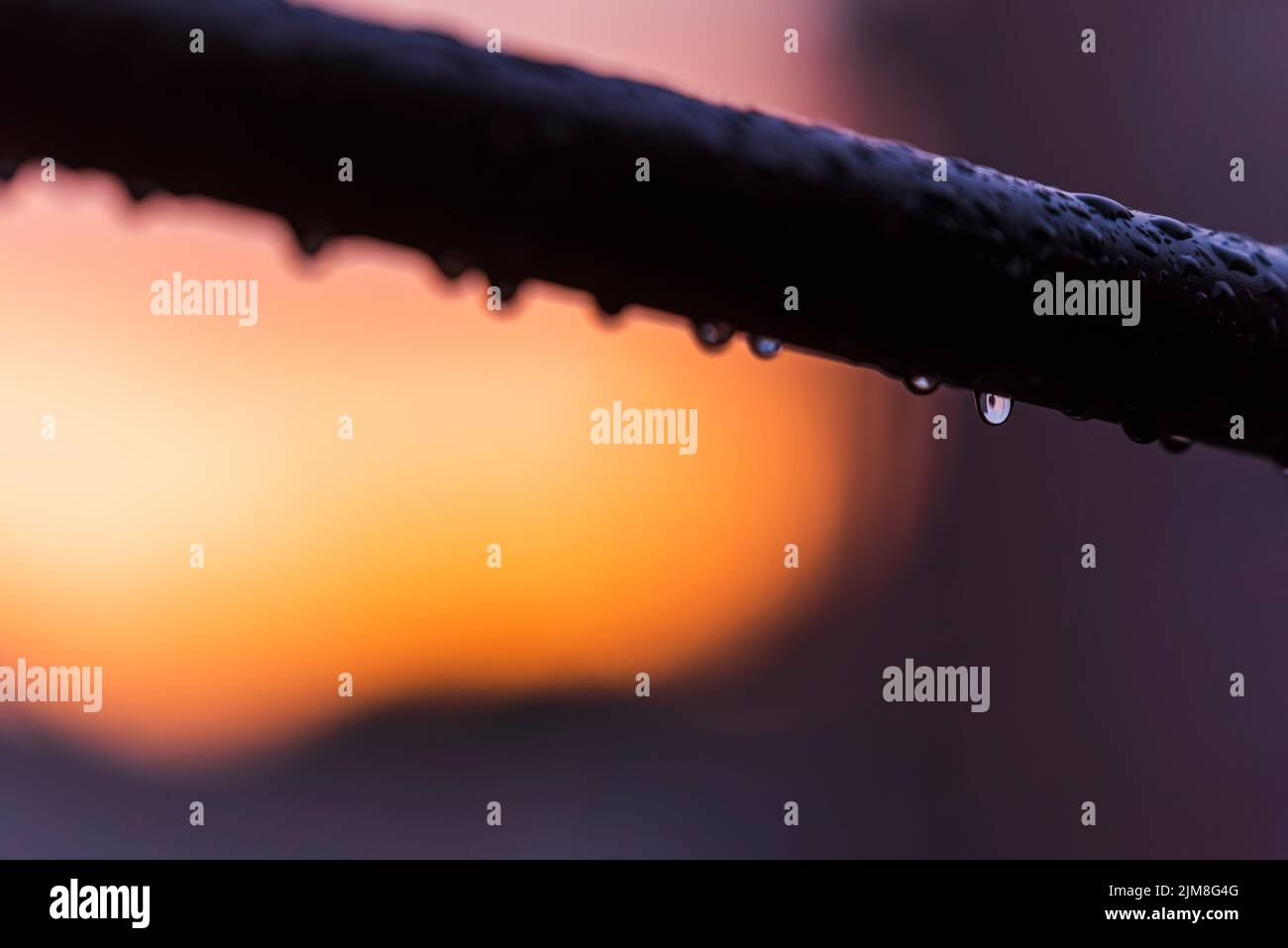 Water drop on railing at sunset Stock Photo - Alamy
