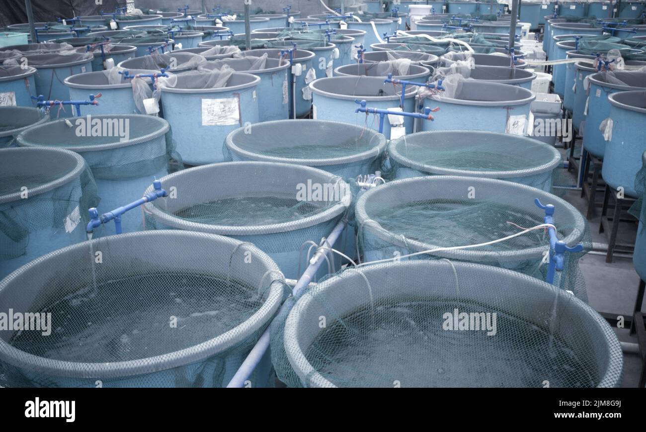 Aquatic agriculture hi-res stock photography and images - Alamy