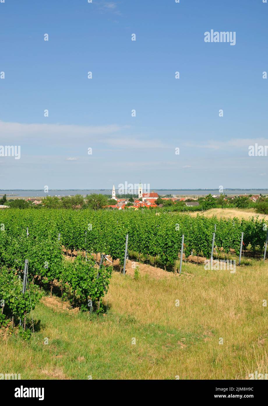 Austria neusiedler rust hi-res stock photography and images - Alamy