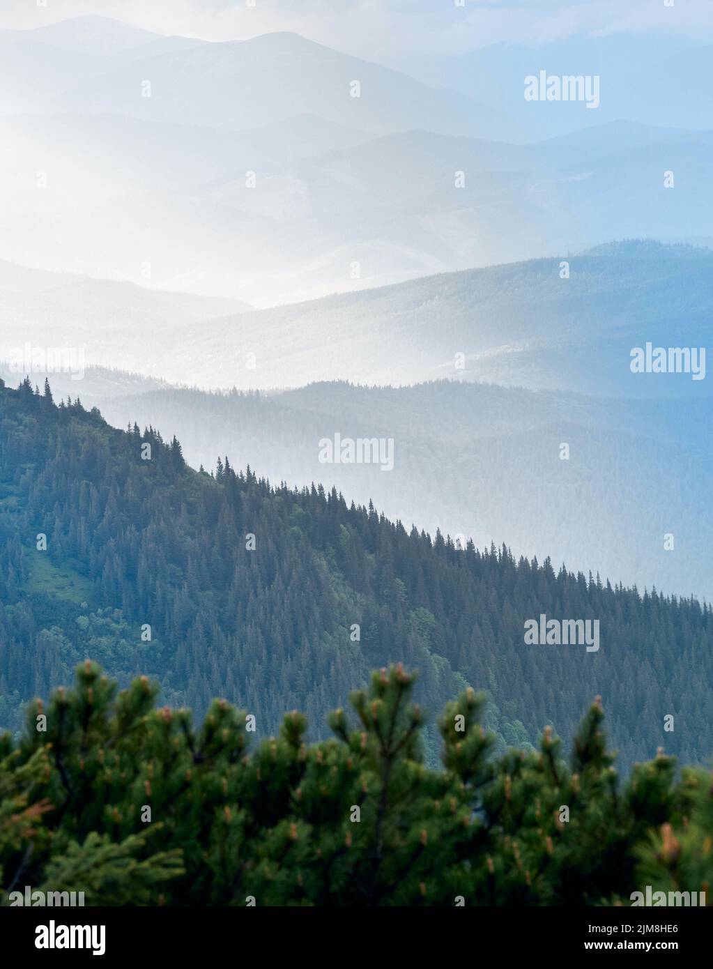 Carpathian mountains ukraine summer hi-res stock photography and images ...