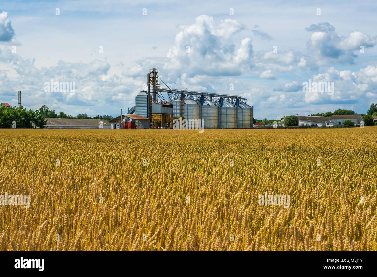 agro silos granary elevator with seeds cleaning line on agro-processing ...