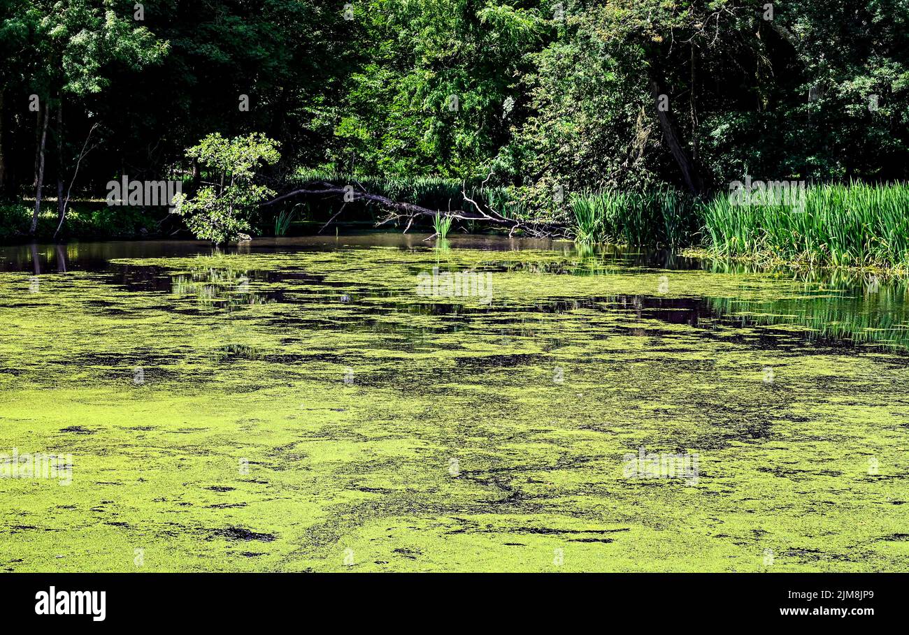 Fairy-tale liek: the castle lake of the Château de Challain-la-Potherie ...