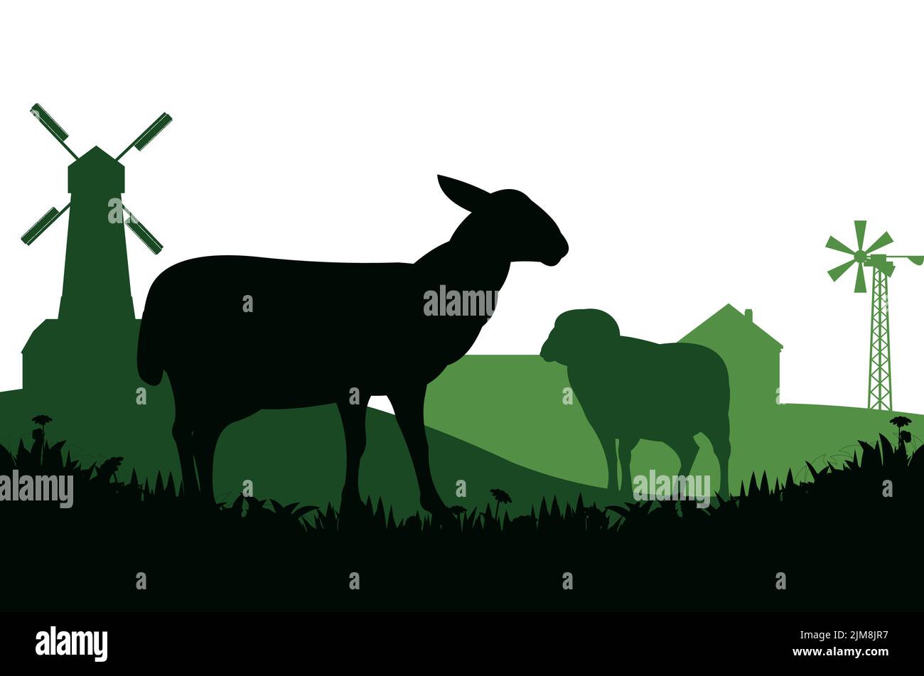 White house sheep on Stock Vector Images - Alamy