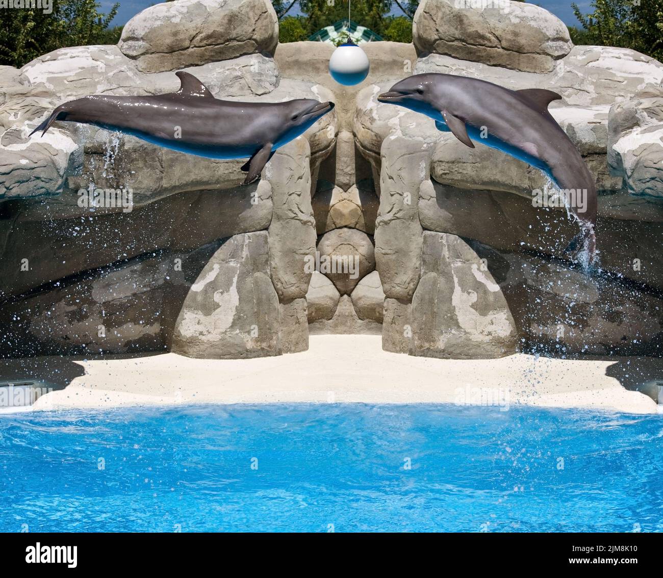 Jumping animal two dolphins hi-res stock photography and images - Alamy