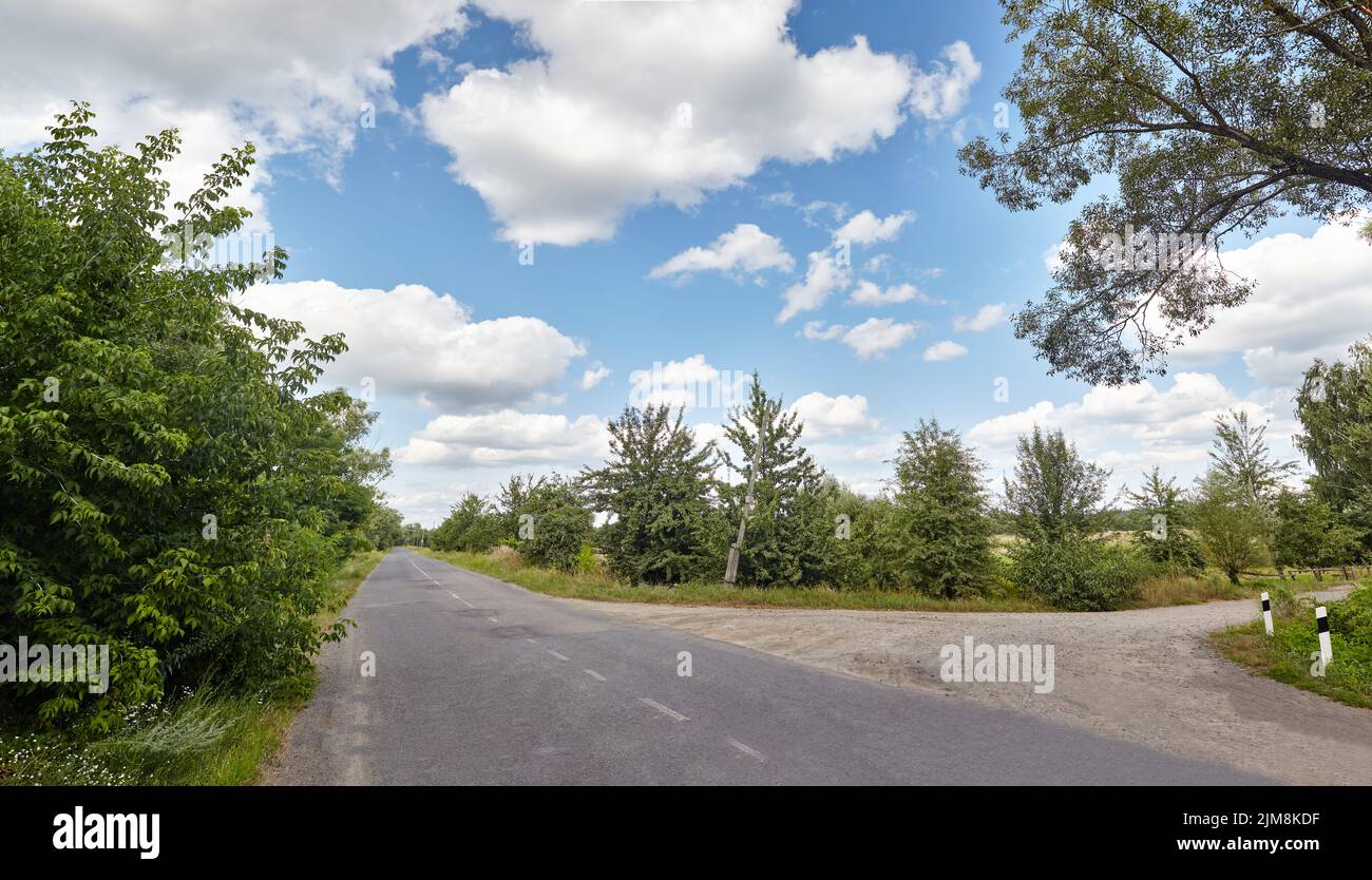 Asphalt winding country road near the forest. A bend road at rural ...