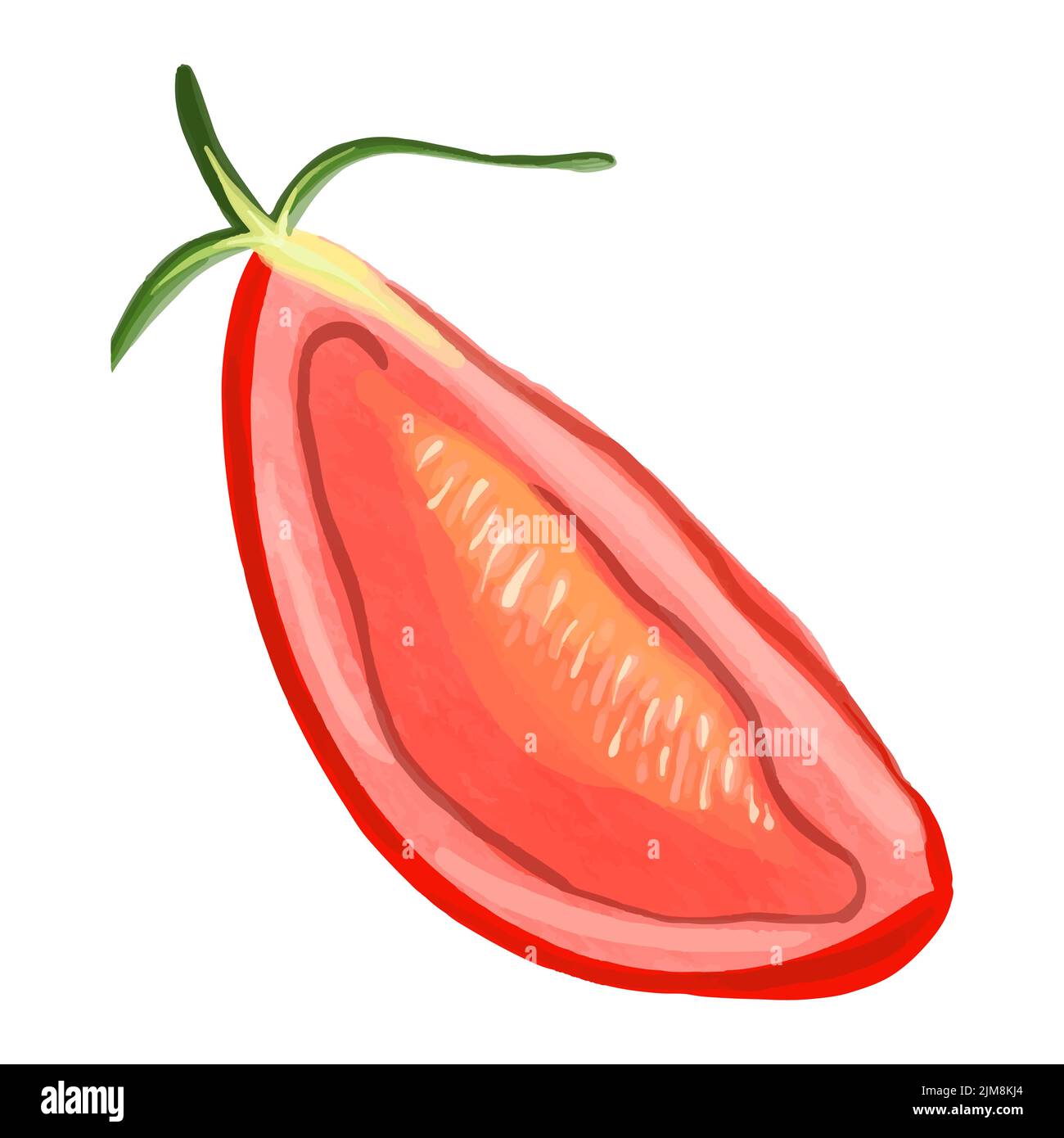 Vector Watercolor tomato illustration. Ripe red vegetable Stock Vector ...