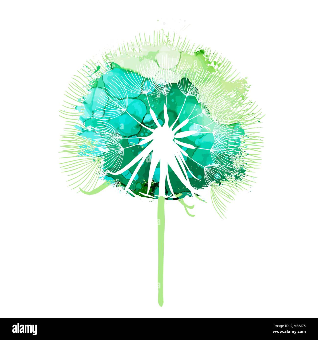 Watercolor abstract dandelion object. Vector illustration Stock Vector ...