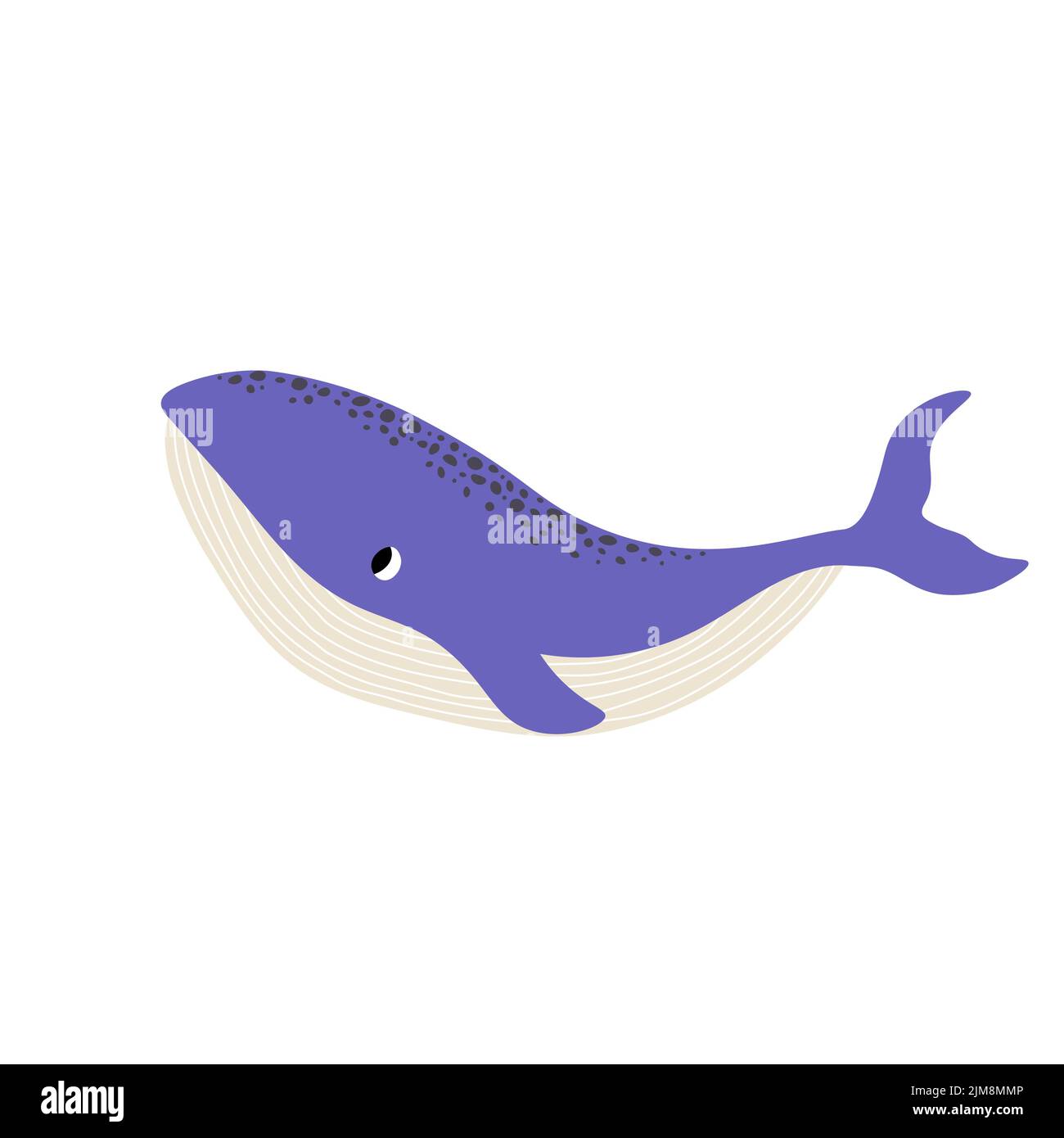 Paper whale illustration cartoon Stock Vector Images - Alamy