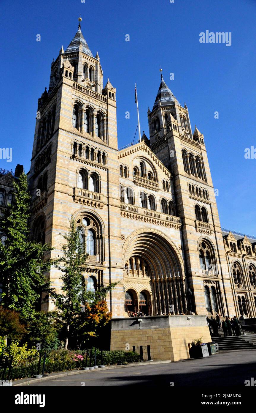 Natural History Museum London Stock Photo - Alamy