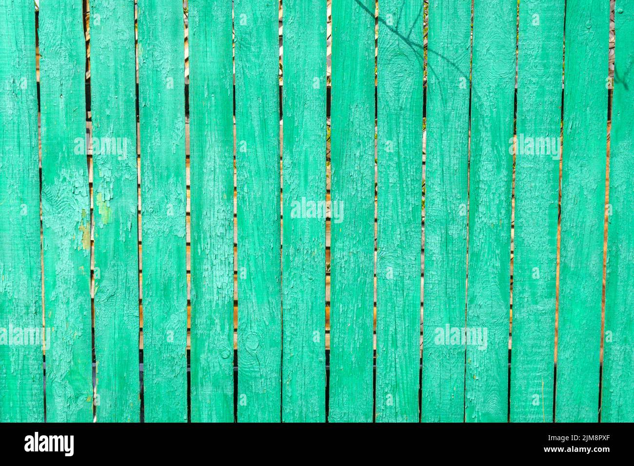 Green Barn Wooden Wall Planking Texture. Faded Natural Wood Board Panel ...