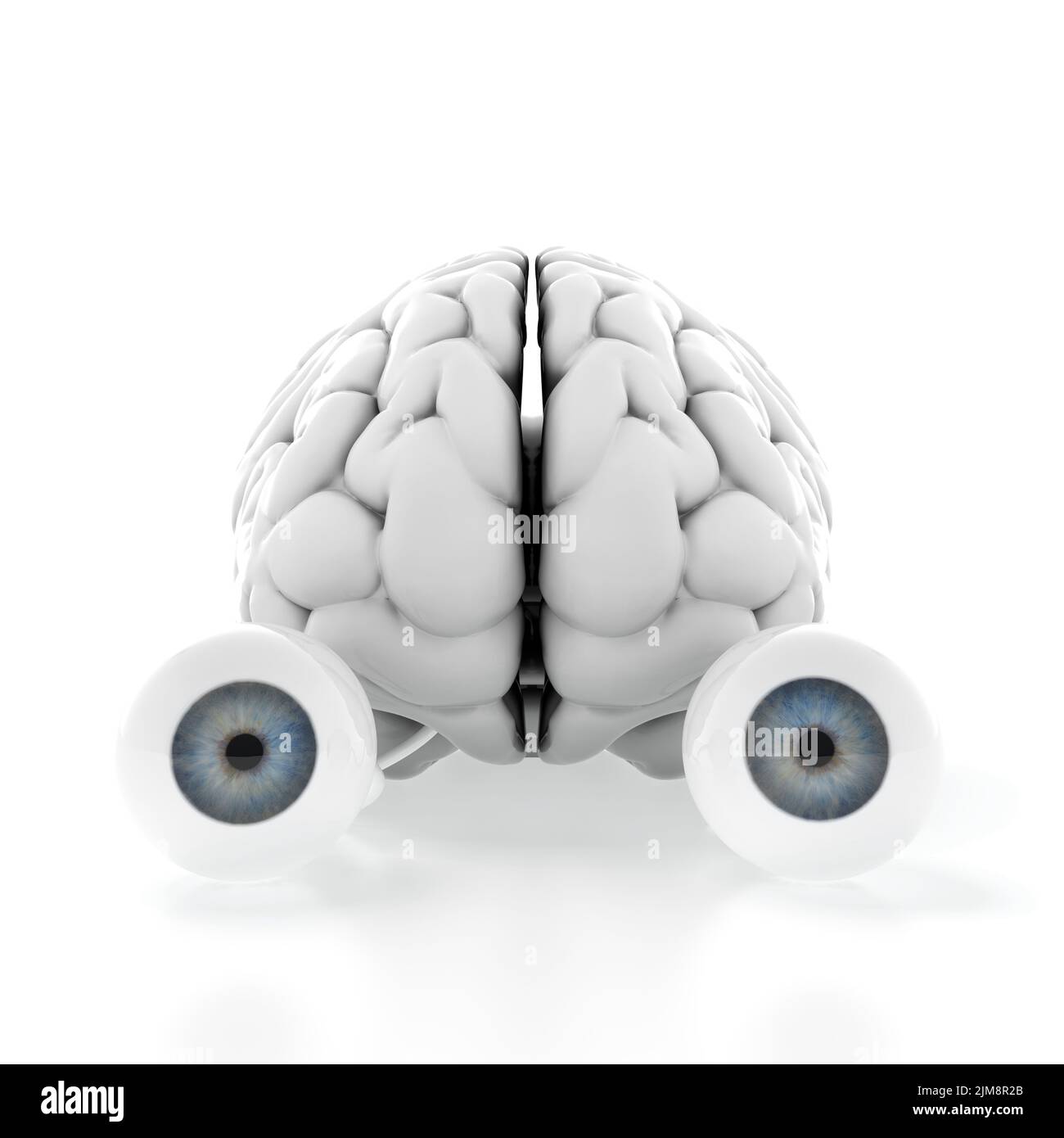 Brain with eyes Stock Photo - Alamy