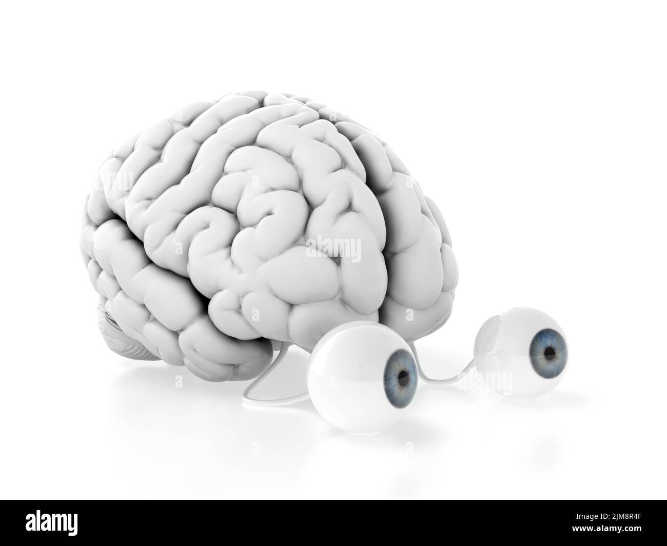 Brain with eyes Stock Photo - Alamy