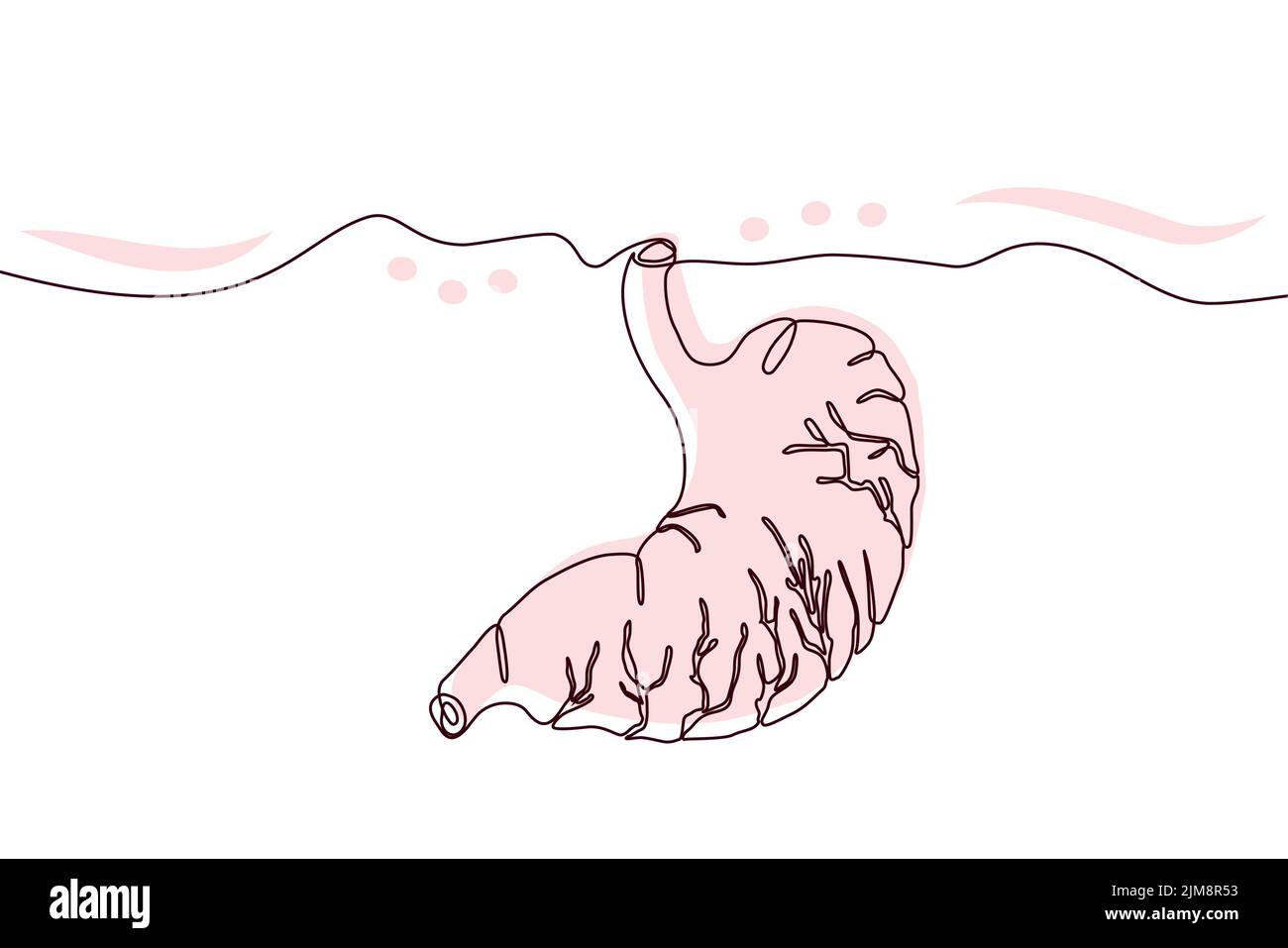 Stomach Hand drawn icon continuous line drawing and pink flat ...
