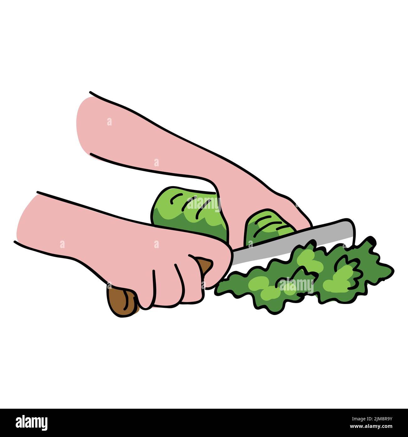 Cutting Vegetable Clip Art Stock Vector Image And Art Alamy