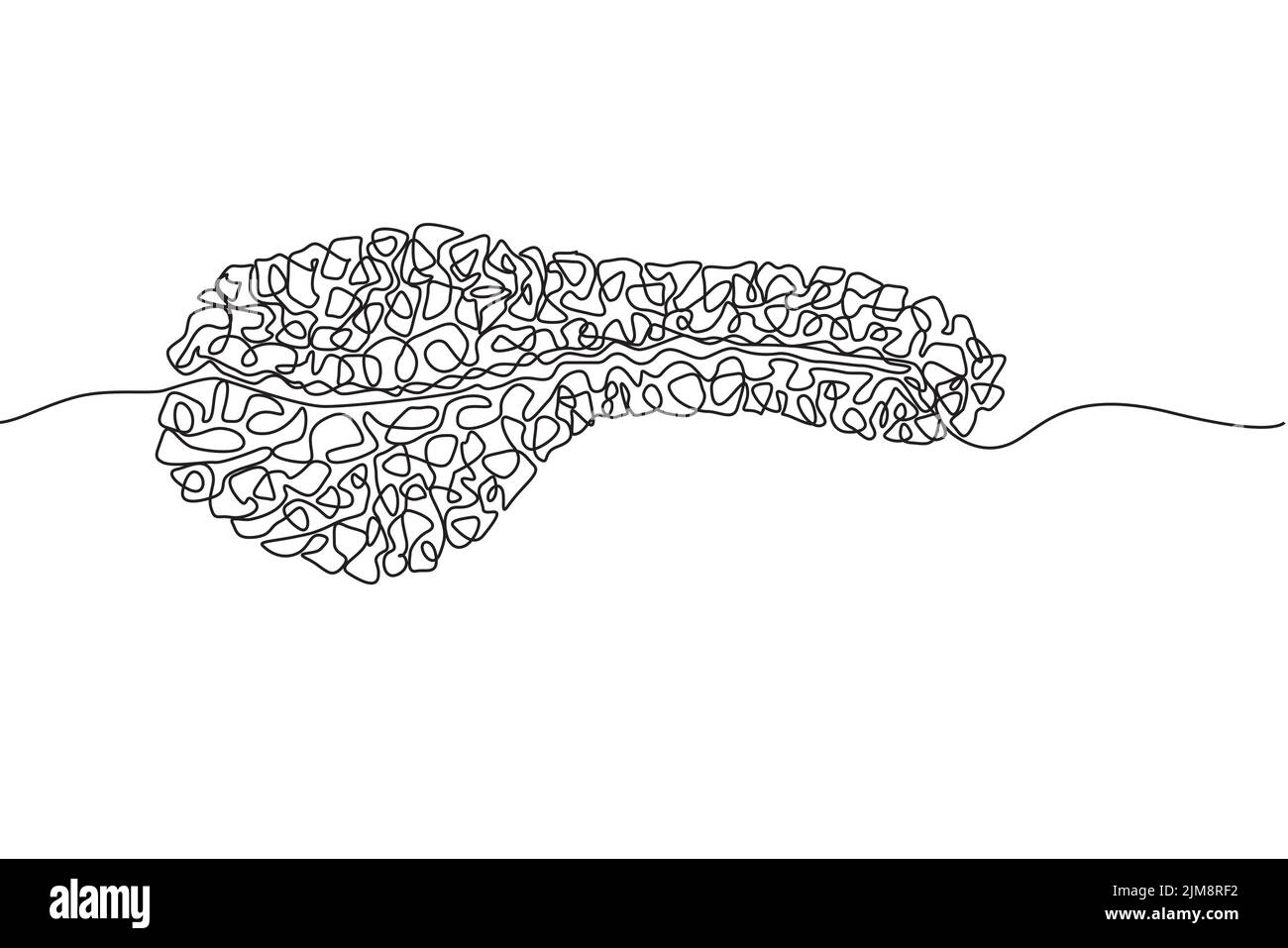 Pancreas Hand drawn icon continuous line drawing. Human organs Creative ...