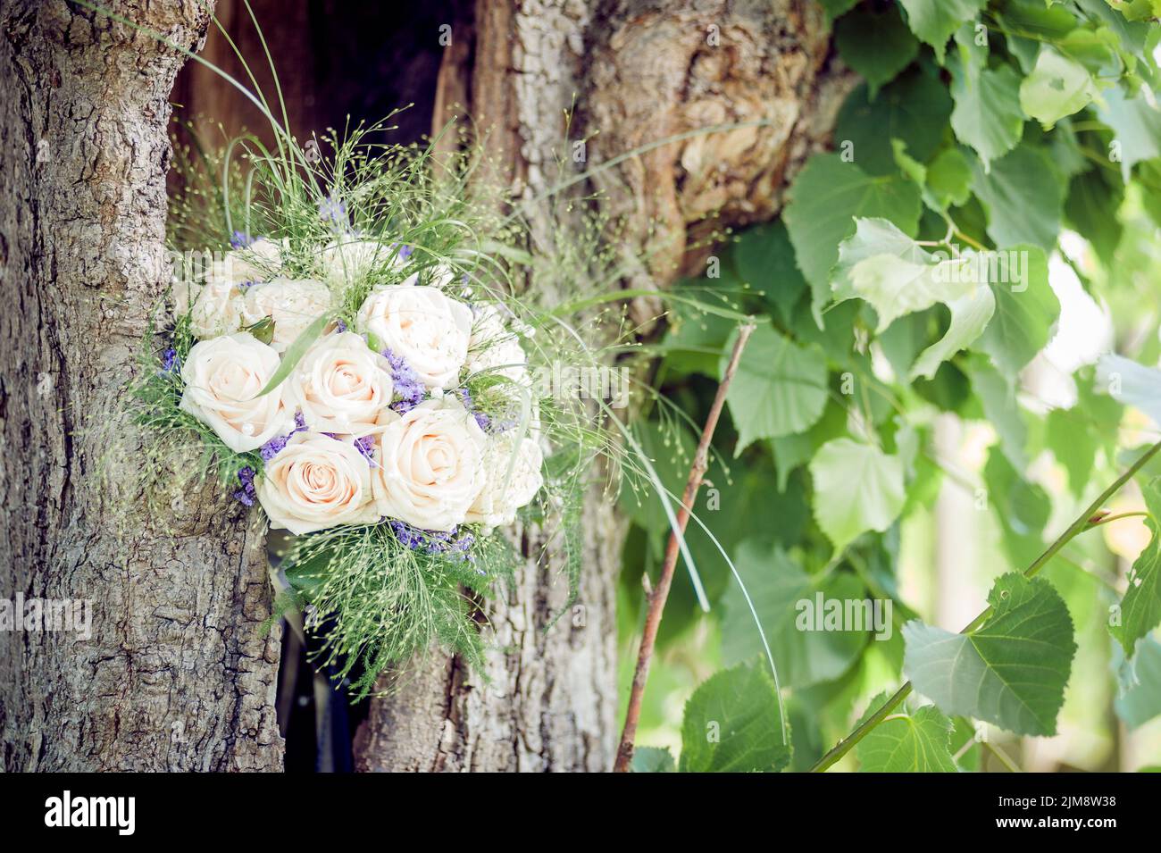Tree with roses hi-res stock photography and images - Alamy