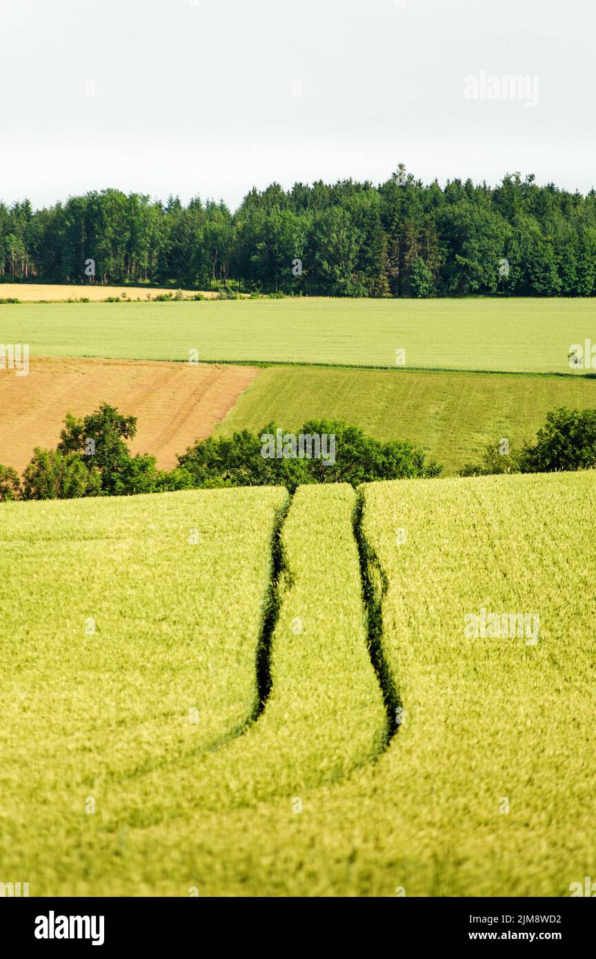 Corn field tractor hi-res stock photography and images - Alamy
