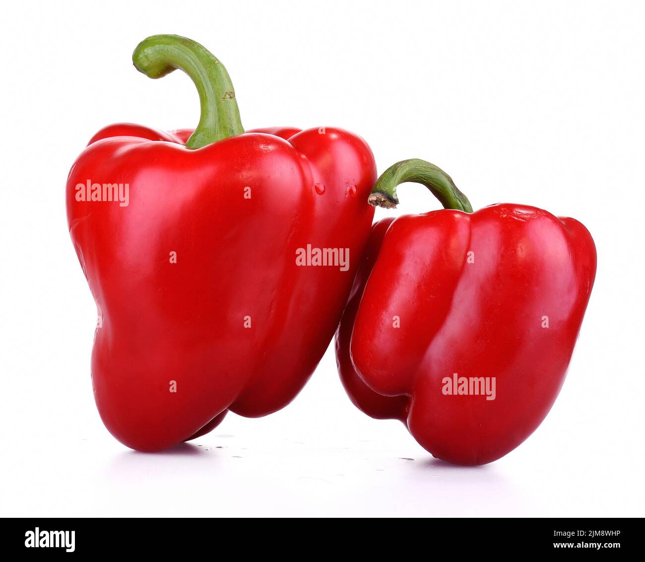 Wet bell pepper plant red Cut Out Stock Images & Pictures - Alamy