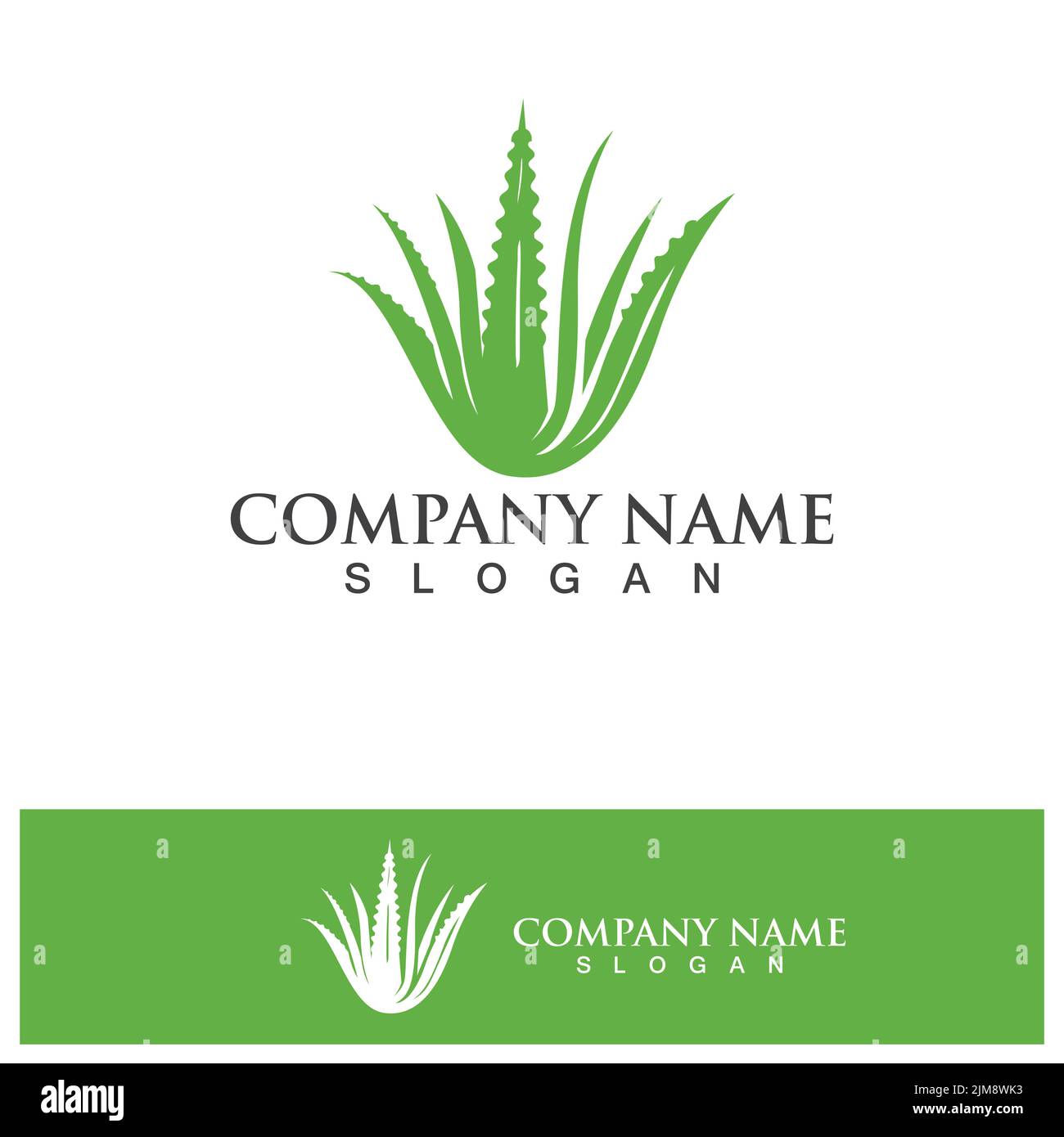 Aloe vera logo vector ilustration Stock Vector Image & Art - Alamy