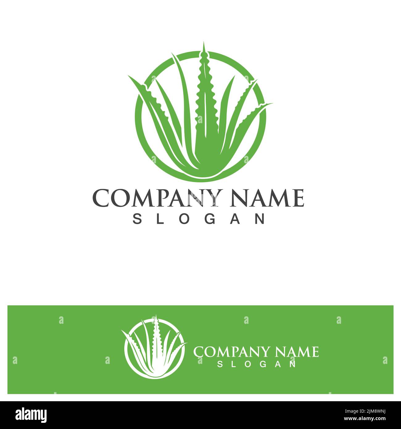 Aloe vera logo vector ilustration Stock Vector Image & Art - Alamy